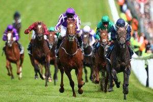 Who are the Best Horse Racing Tipsters? - Mike Cruickshank